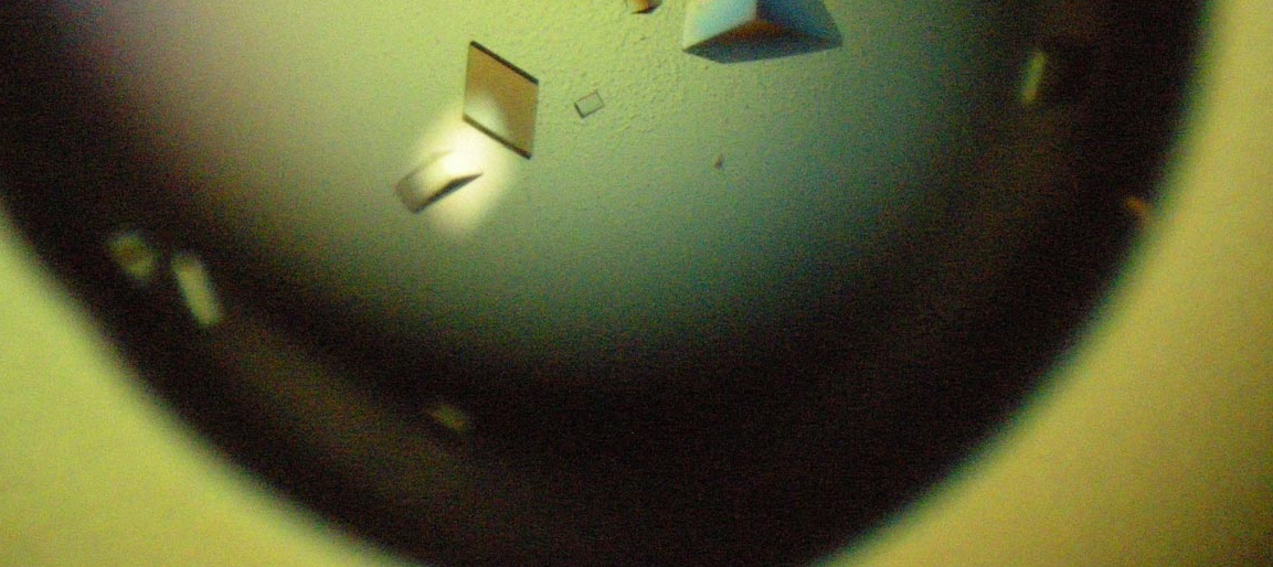 Historik | Wallenberg.com