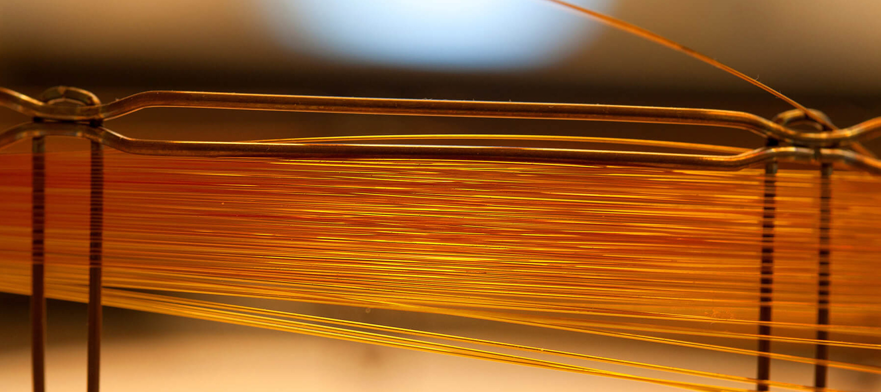 Family | Wallenberg.com